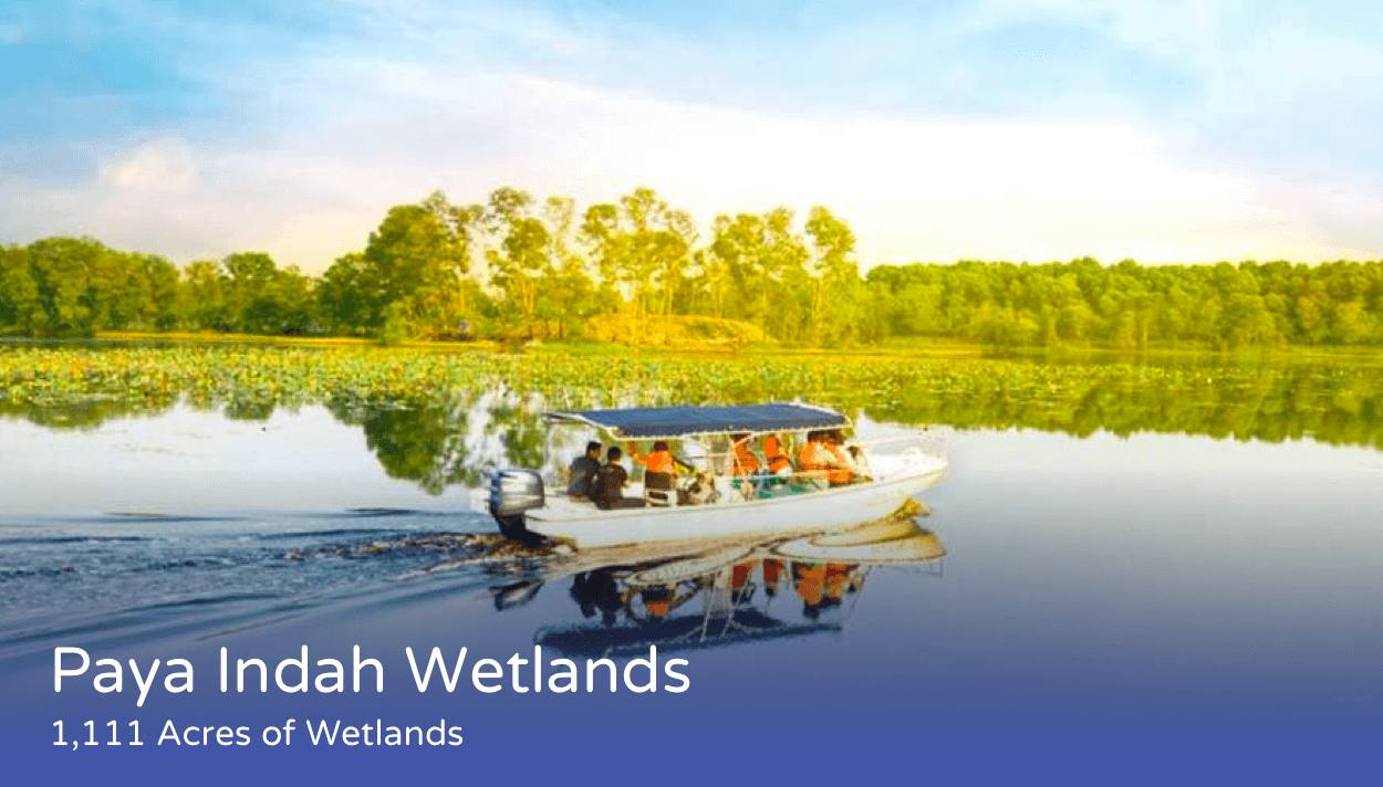 Gamuda Cove | Nature Sanctuary, Smart City